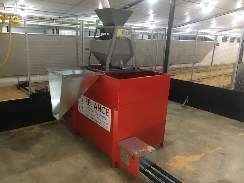 BREEDER FEEDING SYSTEMS – Reliance Poultry Equipment