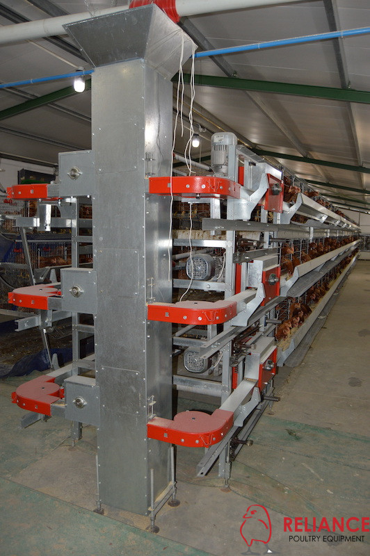 VERTICAL CAGE SYSTEM – Reliance Poultry Equipment