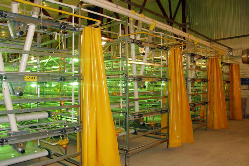 VERTICAL CAGES – Reliance Poultry Equipment