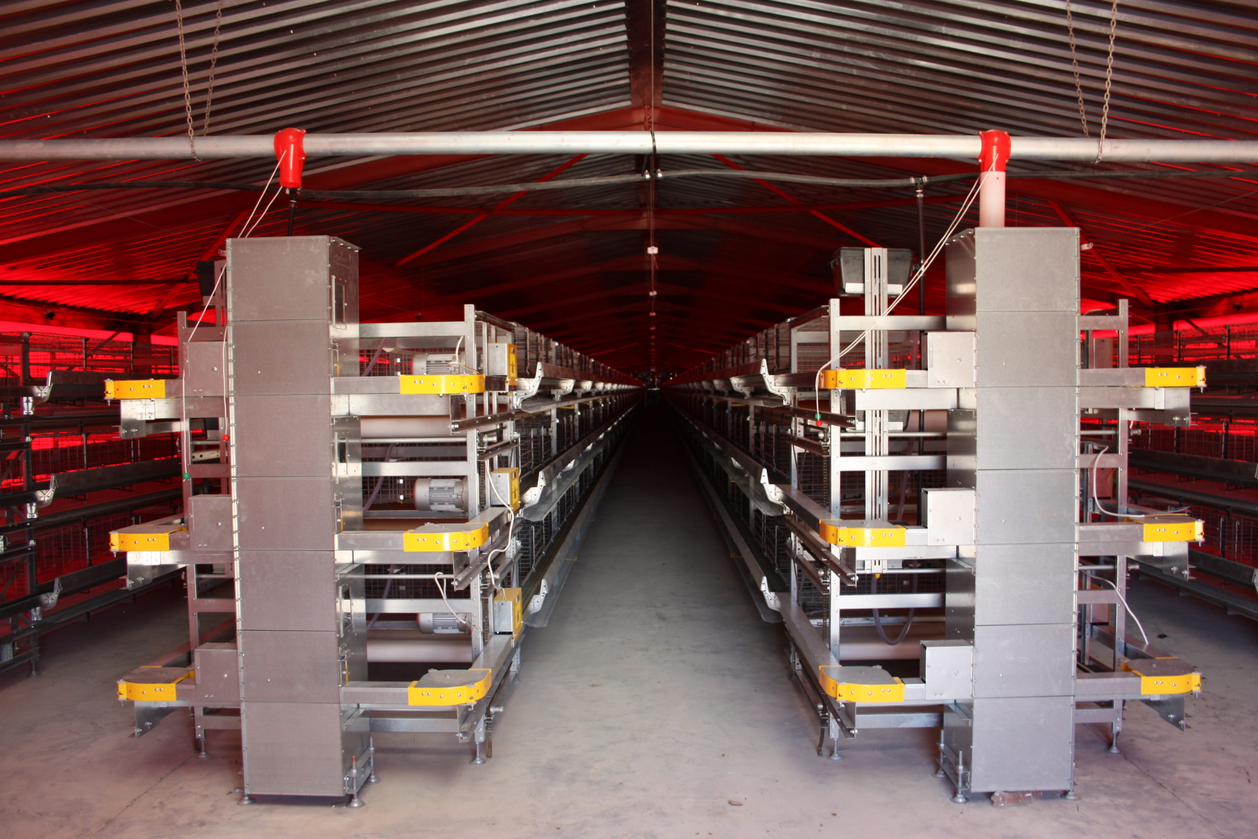 VERTICAL CAGES – Reliance Poultry Equipment