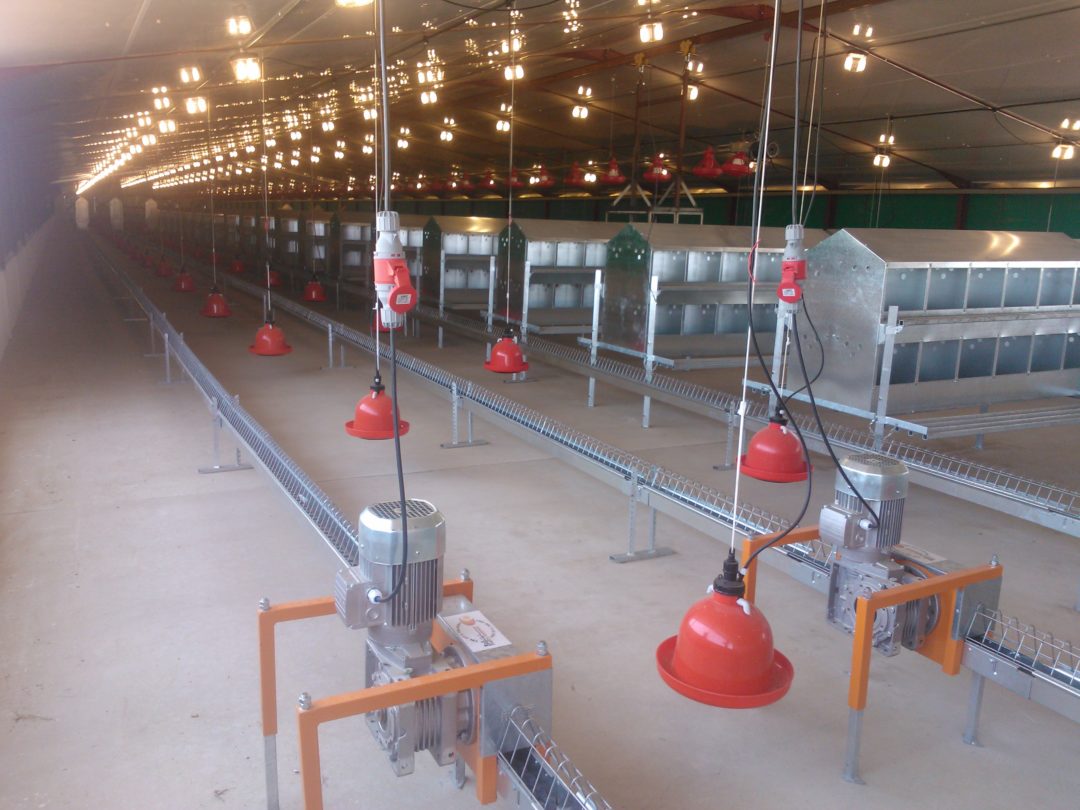 PRODUCTS | Reliance Poultry Equipment