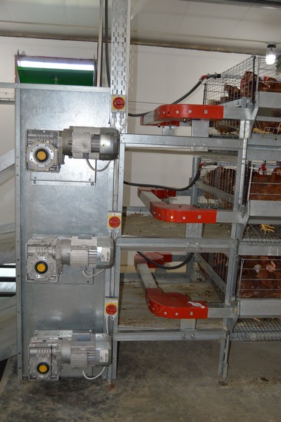 VERTICAL STACK CAGE SYSTEMS – Reliance Poultry Equipment