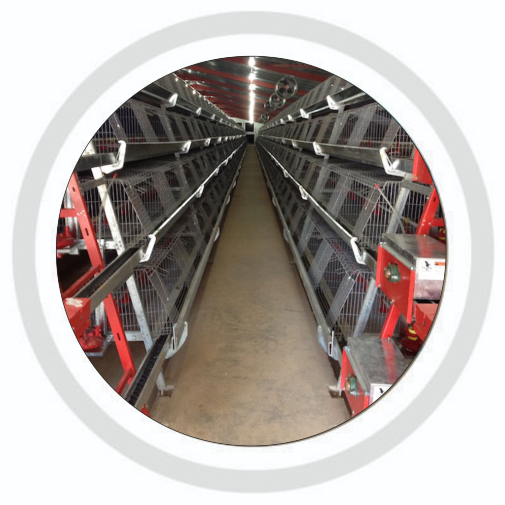 ZIGGITY SYSTEM – Reliance Poultry Equipment