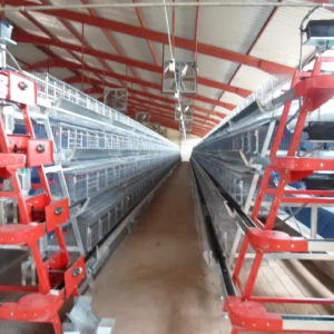 PROJECTS – Reliance Poultry Equipment