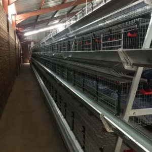 PROJECTS – Reliance Poultry Equipment