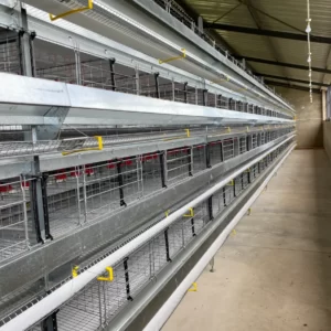 PROJECTS – Reliance Poultry Equipment
