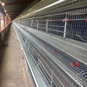 PROJECTS – Reliance Poultry Equipment