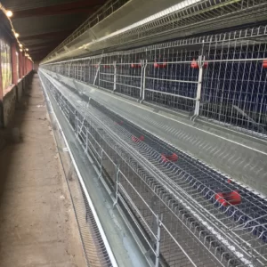 PROJECTS – Reliance Poultry Equipment