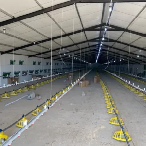 PROJECTS – Reliance Poultry Equipment