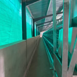 PROJECTS – Reliance Poultry Equipment