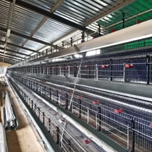 PROJECTS – Reliance Poultry Equipment